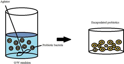 Emulsification Process Download Scientific Diagram