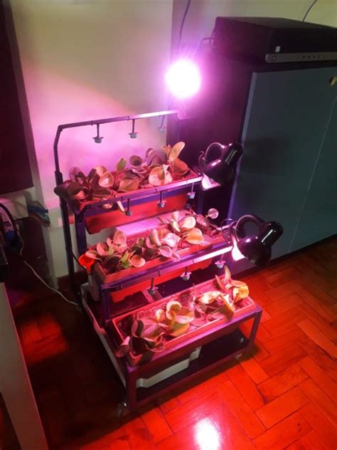 Horta Compartilhada Com Iota E Lógica Difusa Um Projeto De Economia Das Coisas Para Iot