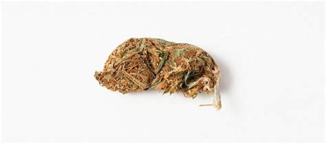 What Is Reggie Weed Dank Bros