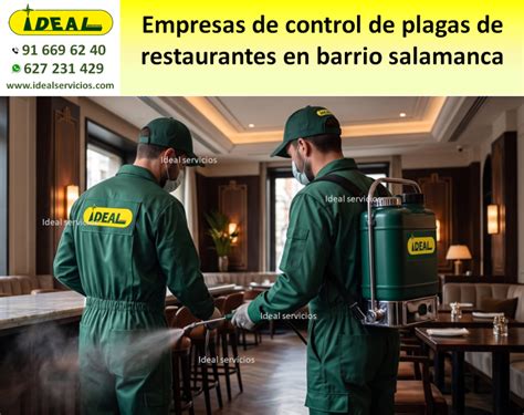 Empresas De Control De Plagas De Restaurantes En Barrio Salamanca Ideal Servicios Integrales