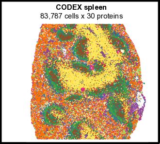 Spatial Single Cell Transcriptomics Toolbox Giotto