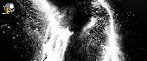 فیلم سینمایی خرس کوکائینی دوبله فارسی فیلو