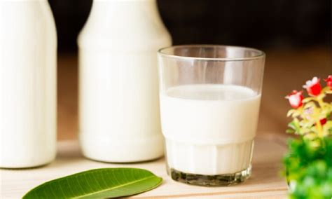 Masyarakat Masih Bingung Dengan Susu Ikan Pb Idi Lebih Tepat Disebut