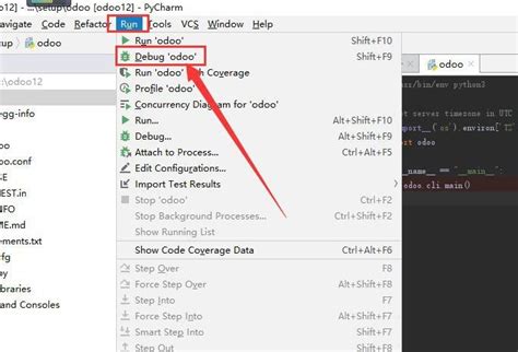 Pycharm Debug Pycharm Debug