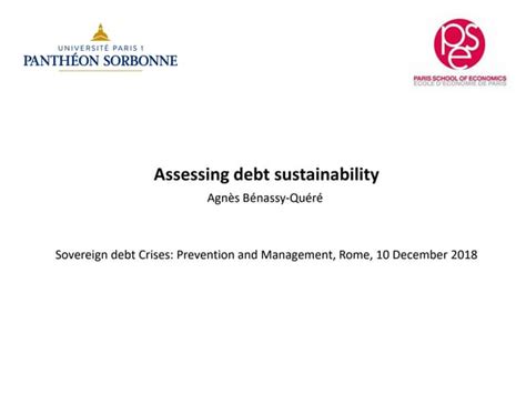 Assessing Debt Sustainability Pdf Business Accounting And Finance