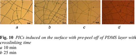 Figure 1 From Design And Fabrication Of Pdms‐based Electrostatically