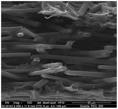 Preparation Method Of Gradient Pore Structure Carbon Paper Eureka