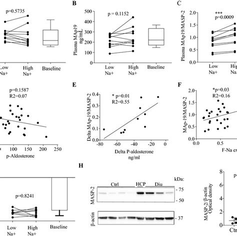 Masp 2 Is Localized In The Intercalated Cells Of The Collecting Duct