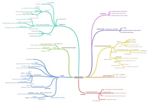 Angiosperme Coggle Diagram