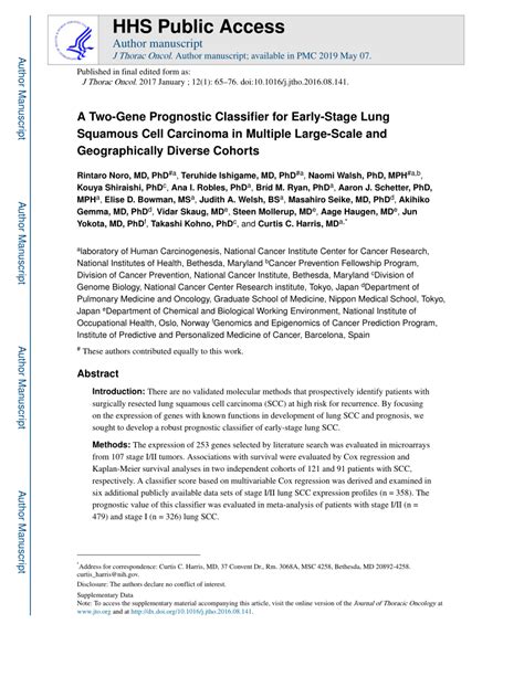 Pdf A Two Gene Prognostic Classifier For Early Stage Lung Squamous
