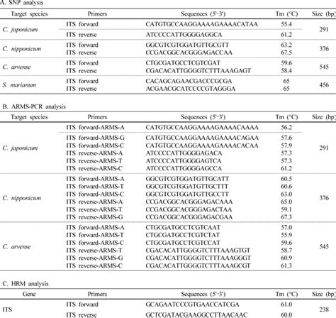 Primer Sequences Used In This Study Download Table