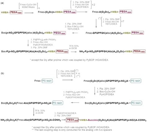 A C Terminal Analogs And B N Terminal Analogs Download Scientific Diagram