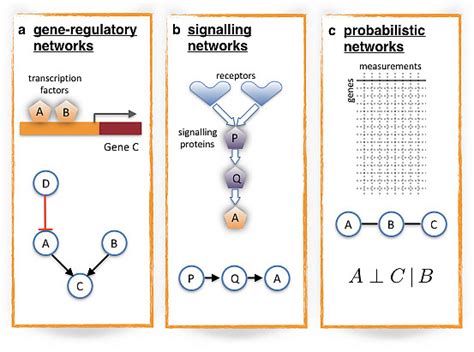Eco Evolutionary Modellinguni Hohenheimde