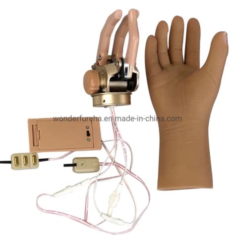 Artificial Limb Myoelectric Prosthetic Hand Forearm Myoelectric Control