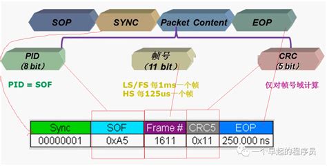 Usb协议详解第20讲（usb包 帧首包sof）usb Sof包作用 Csdn博客