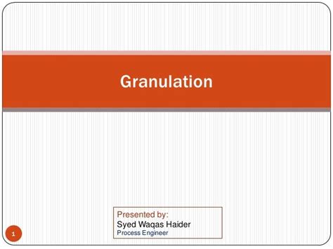 Granulation Process And Types Of Granulators