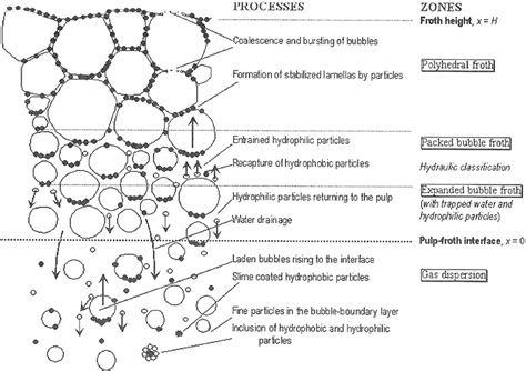 Figure 1 From The Roles Of Particles In Multiphase Processes Particles On Bubble Surfaces