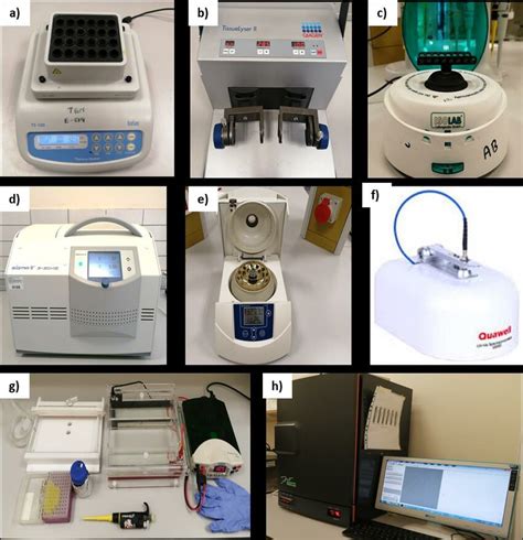 Spectrophotometer Dna Extraction At Glenn Austin Blog