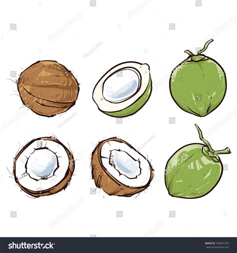 57 796 Imágenes De Leche De Coco Animada Imágenes Fotos Y Vectores De Stock Shutterstock