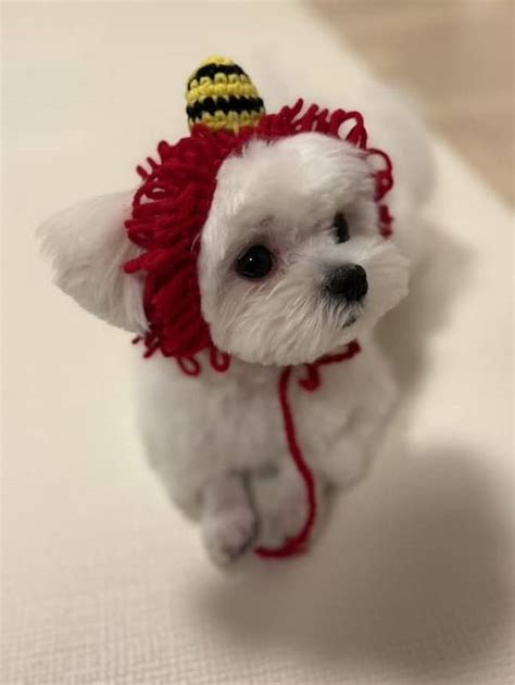 강아지한테 귀여운 뿔 달린 머리띠 둘러줬더니 실제로 생긴 일 애니멀 플래닛