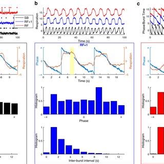 Examples Of Recorded And Analyzed Data From A Participant Ad