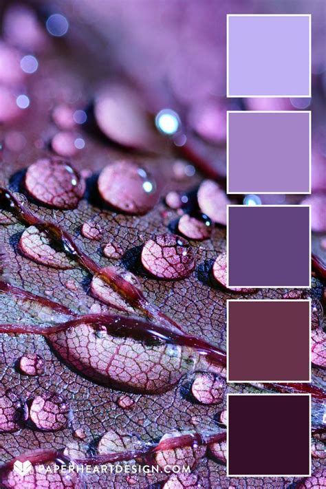 Color Palette Pleasantly Purple — Paper Heart Design Purple Palette