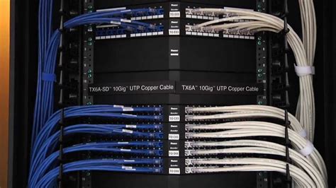Cat 6a Cabling Standards At Leo Bunker Blog