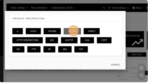 How To Create Cname Record In Traffic Director Domain 5centscdn Help