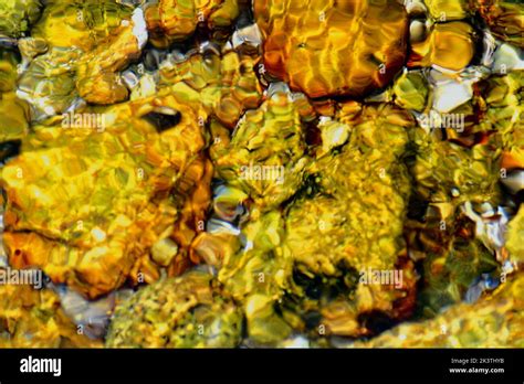 Abstract Effect Of Refraction And Diffraction Of Light Stock Photo Alamy