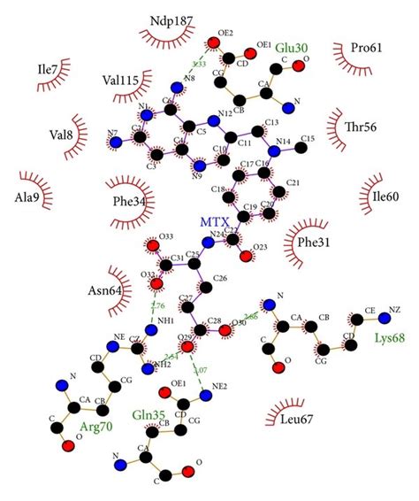The Ligplot Analysis Of Hydrophobic Interactions Between Dhfr And Tcm