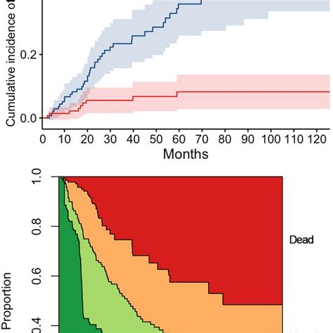 The Cumulative Incidence Plot For Cancer And Non Cancer Related Death Download Scientific