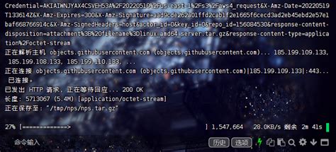 Nps内网穿透服务搭建 泵小丫