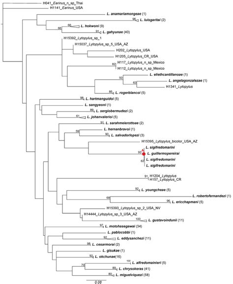 tree of highest log likelihood from 20 ml search reps of the coi data
