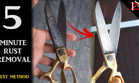 MIRACLE RUST REMOVER How To Remove Rust From Tools Within Mins At HOME RESTORATION THIS