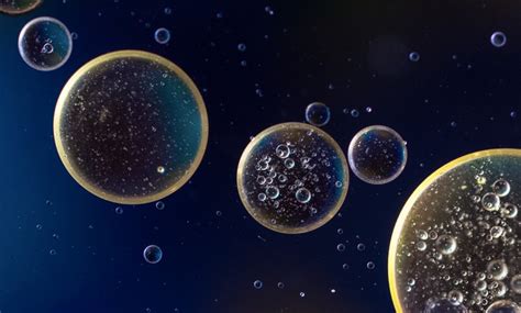 What Are Circular RNAs Can They Aid Cancer Treatment Genetics And Genomics