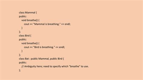 Polymorphism And Virtual Functions Ppt Bioinformatics Pptx