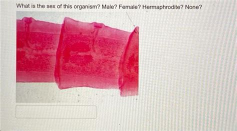 Solved What Is The Sex Of This Organism Male Female Chegg Com