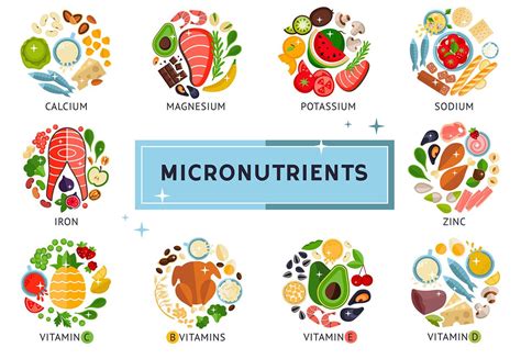 Understanding Macronutrients And Micronutrients