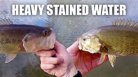 April Pre Spawn Bass Fishing Swimbait Jig Or Both Youtube