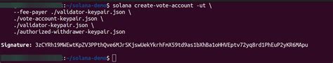 how to run a solana node cherry servers