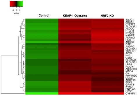 Nrf2 Regulated Metabolic Gene Signature As A Prognostic Biomarker In