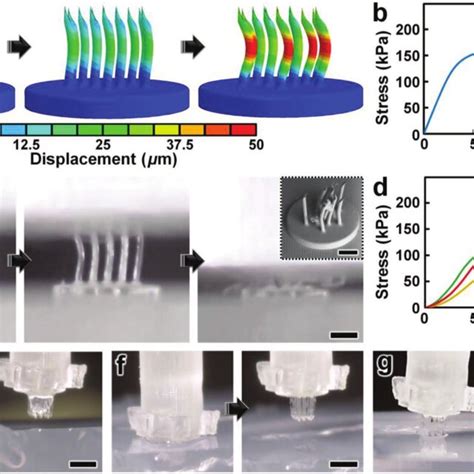 Fabrication Results For Dlp 3d Printing Of Batch Arrays Of Capillaries Download Scientific