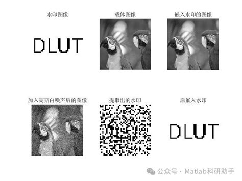 【图像隐藏】基于离散余弦变换dct变换实现灰色图像数字水印嵌入攻击提取附matlab代码基于离散余弦变换的特征张量提取方法 Csdn博客