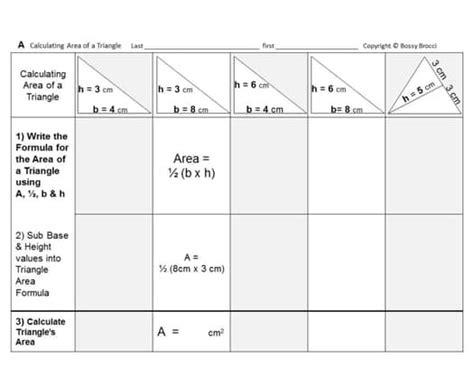 Area Slides Bundle D Calculate Solve Area Triangles How Base And Height Affects