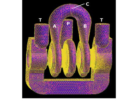 Computational Grid With Boundary Surfaces Download Scientific Diagram