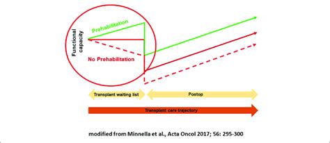 Multimodal Prehabilitation Download Scientific Diagram