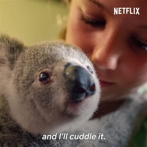 Netflix Izzys Koala World Meet Izzy Bee Netflix
