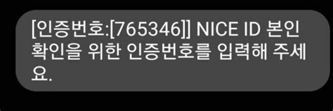 GitHub heist NICE API NICE 본인인증 API