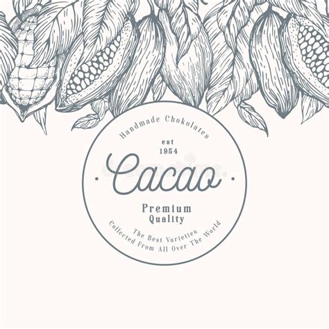 Cocoa Bean Tree Banner Template Chocolate Cocoa Beans Background Vector Hand Drawn