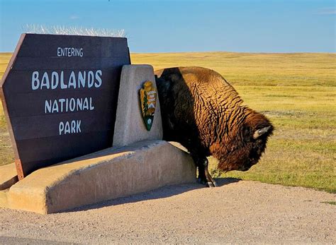 Badlands National Park Wildlife And Breathtaking Views Go Rving